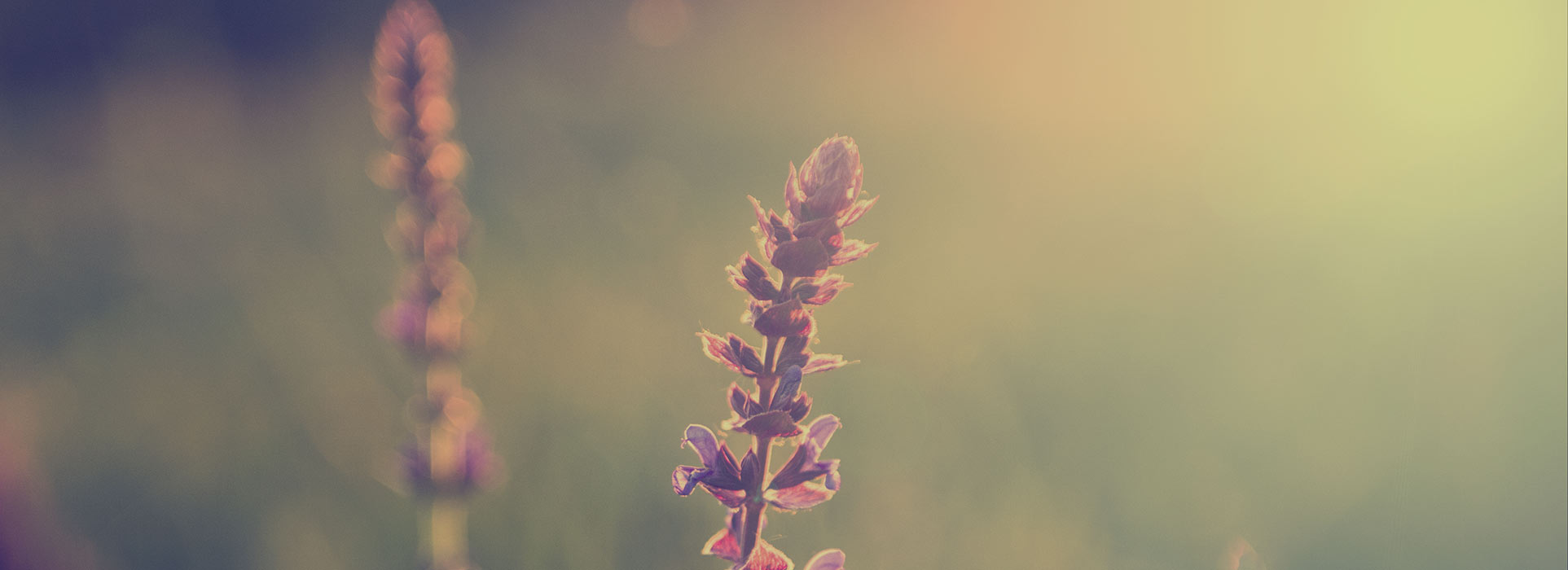 With Section Menu - Flamemaster